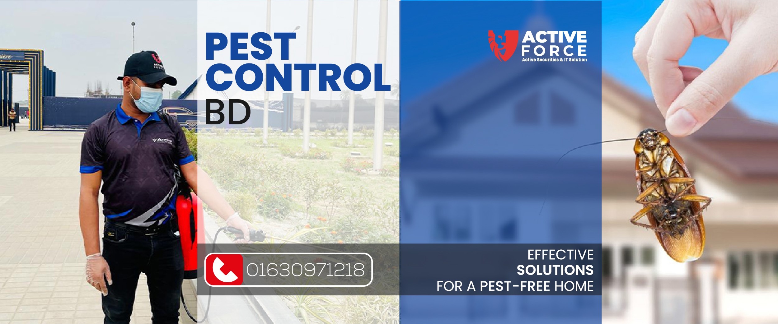 Pest Control BD: Effective Solutions for a Pest-Free Home - Active Force BD